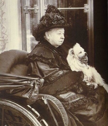 Information About Royal Pomeranians and Queen Victoria Pomeranian Dogs