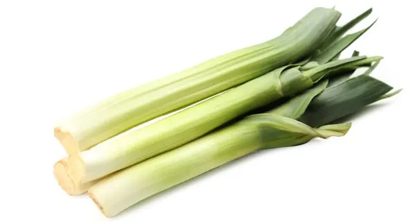 Can Dog Eat Leeks