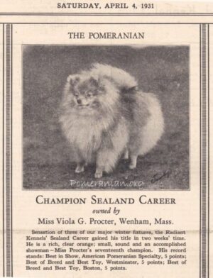 Learn about Pomeranian Origin and Breed History