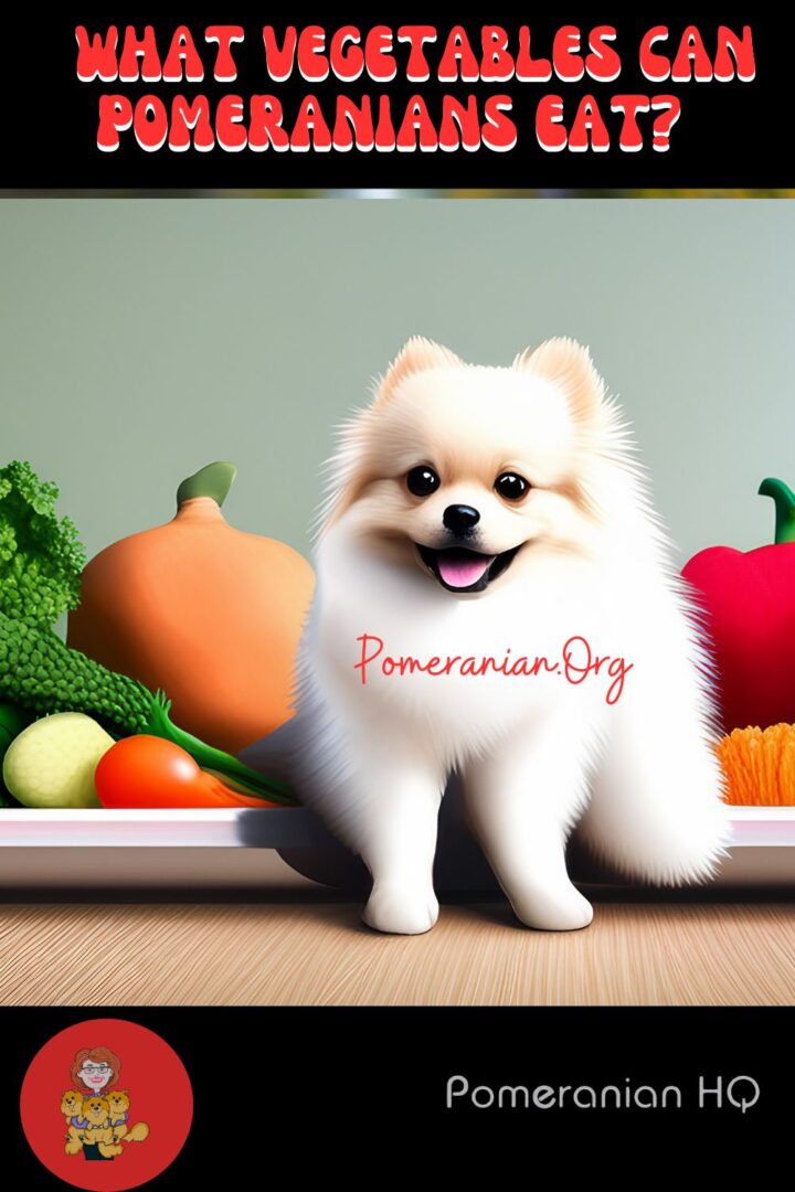 Full Details: What Vegetables Can Pomeranians Eat? - Pomeranian ...
